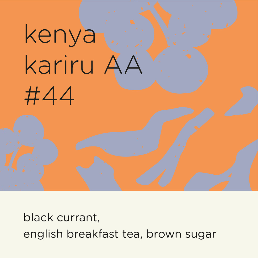 Filter Coffee – The Roast Things